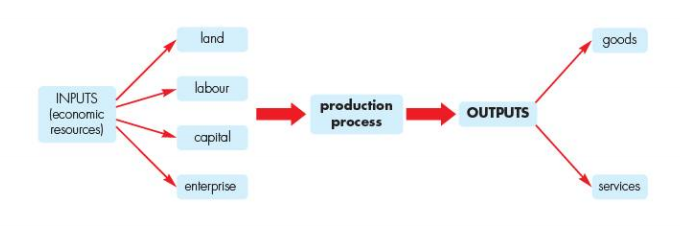 4.1 – Production of Goods and Services – IGCSE AID