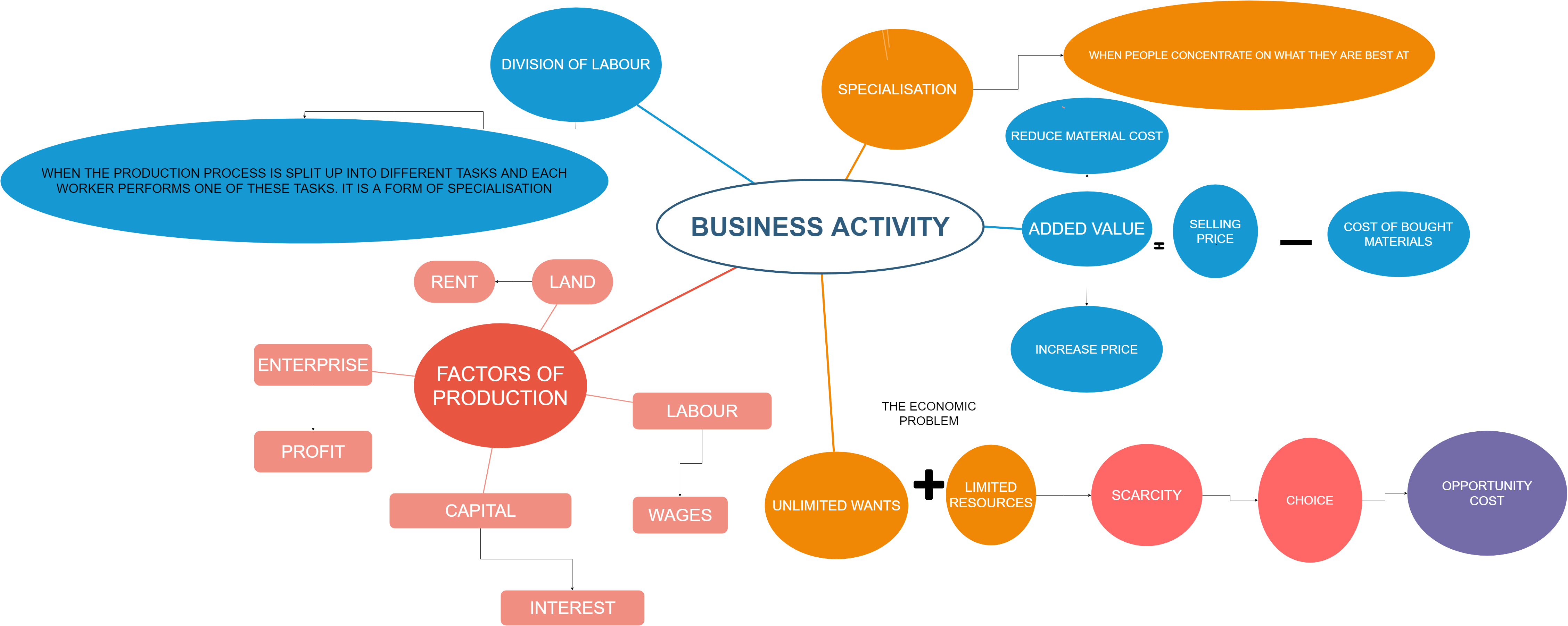 1.1 – Business Activity – IGCSE AID