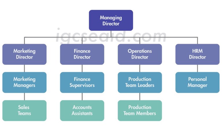2.2 – Organization and Management – IGCSE AID