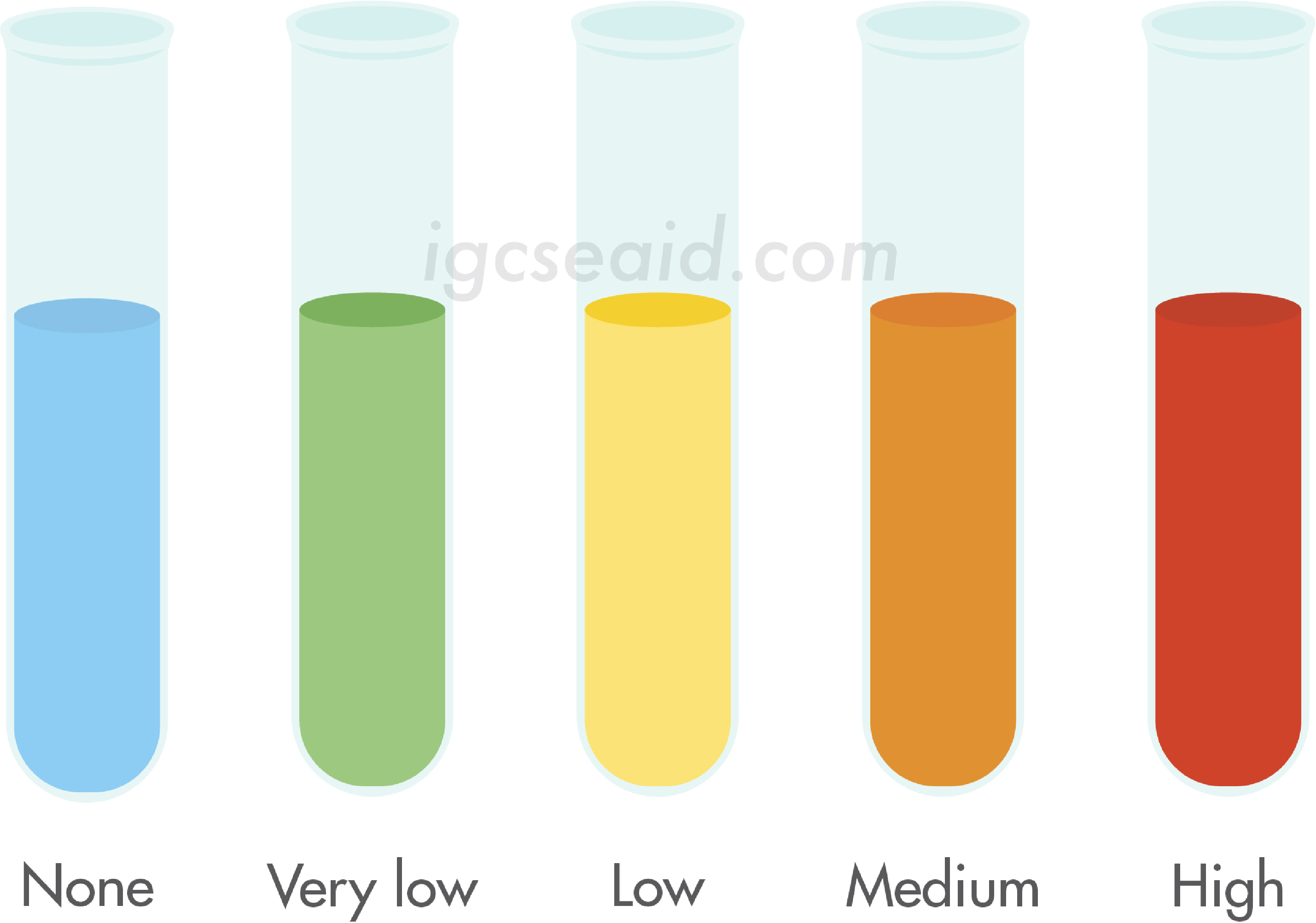 B3.1 – Biological Molecules – IGCSE AID