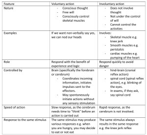 B9.1 – Nervous Control in Humans – IGCSE AID