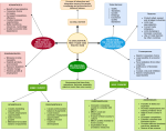 6.2 – Globalisation, Free Trade and Protection – IGCSE AID